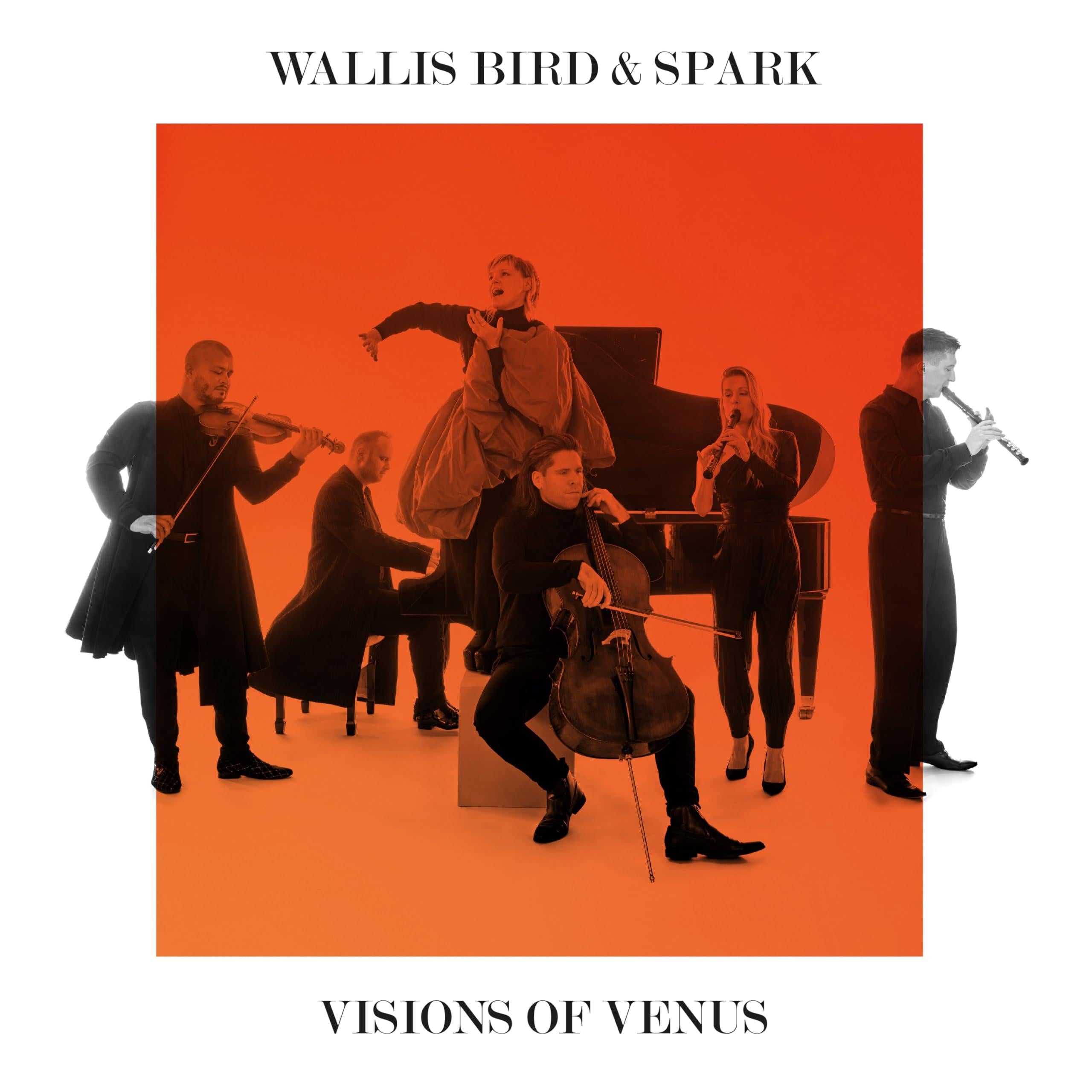 Wallis Bird - Visions of Venus - Lp – Vinyl Tap