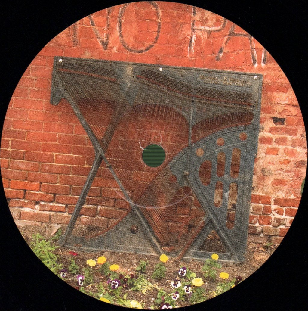 Do Make Say Think - You, You're A History In Rust - Lp – Vinyl Tap