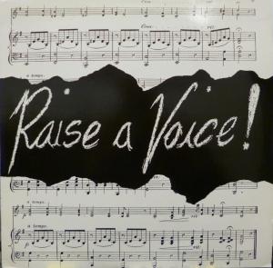 Northern Youth Rock Orchestra - Raise A Voice - Lp – Vinyl Tap