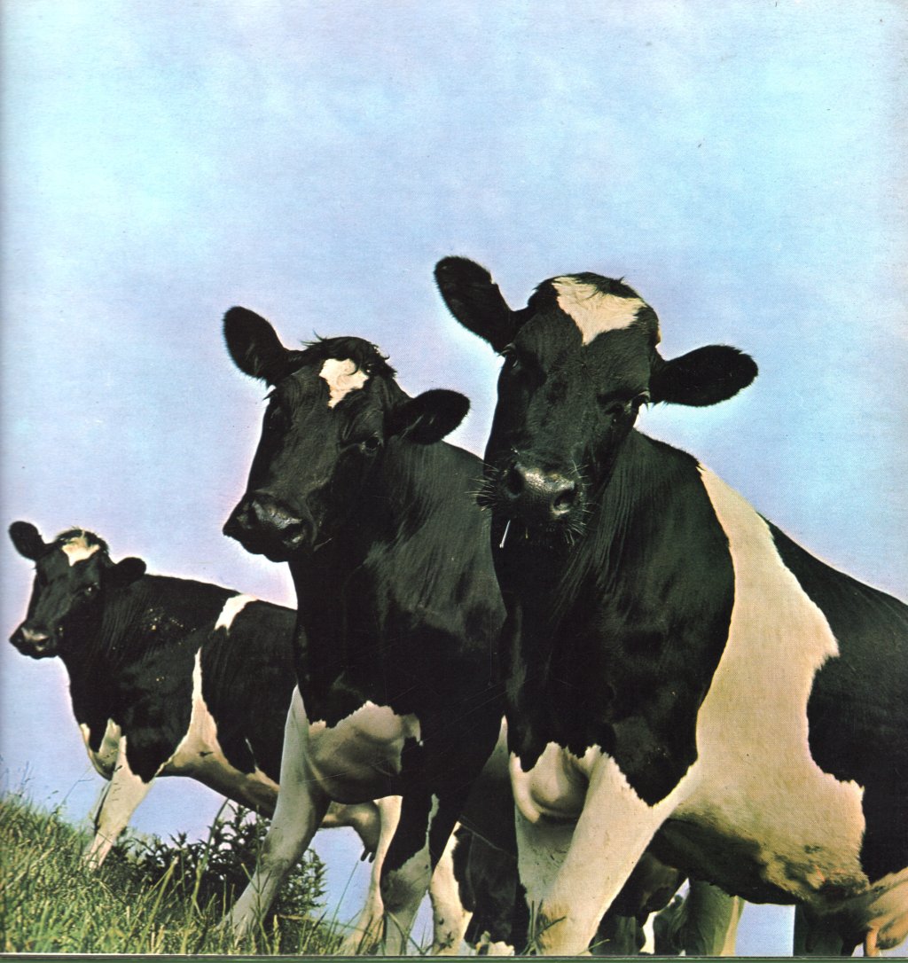 Pink Floyd - Atom Heart Mother - Lp – Vinyl Tap
