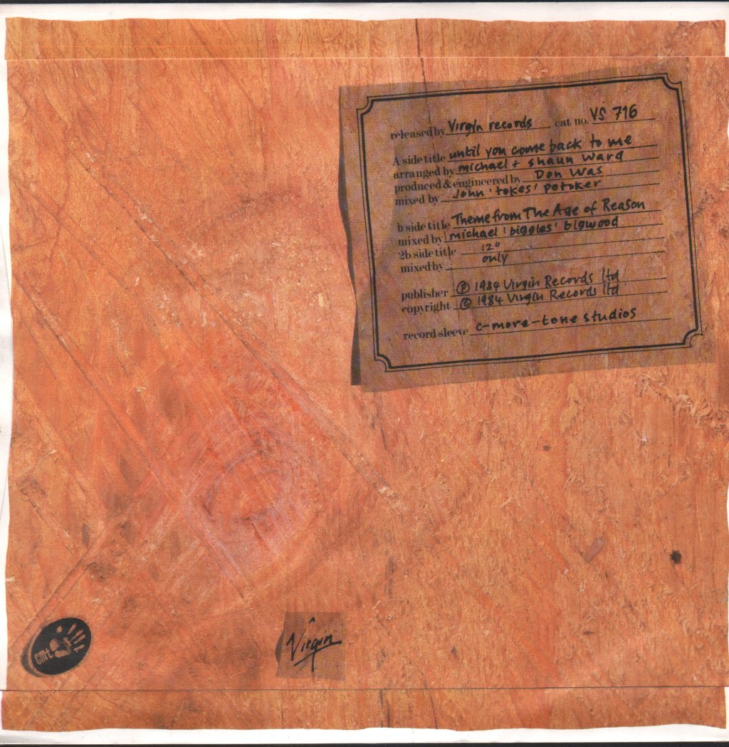 Floy Joy - Until You Come Back To Me - 7 Inch – Vinyl Tap