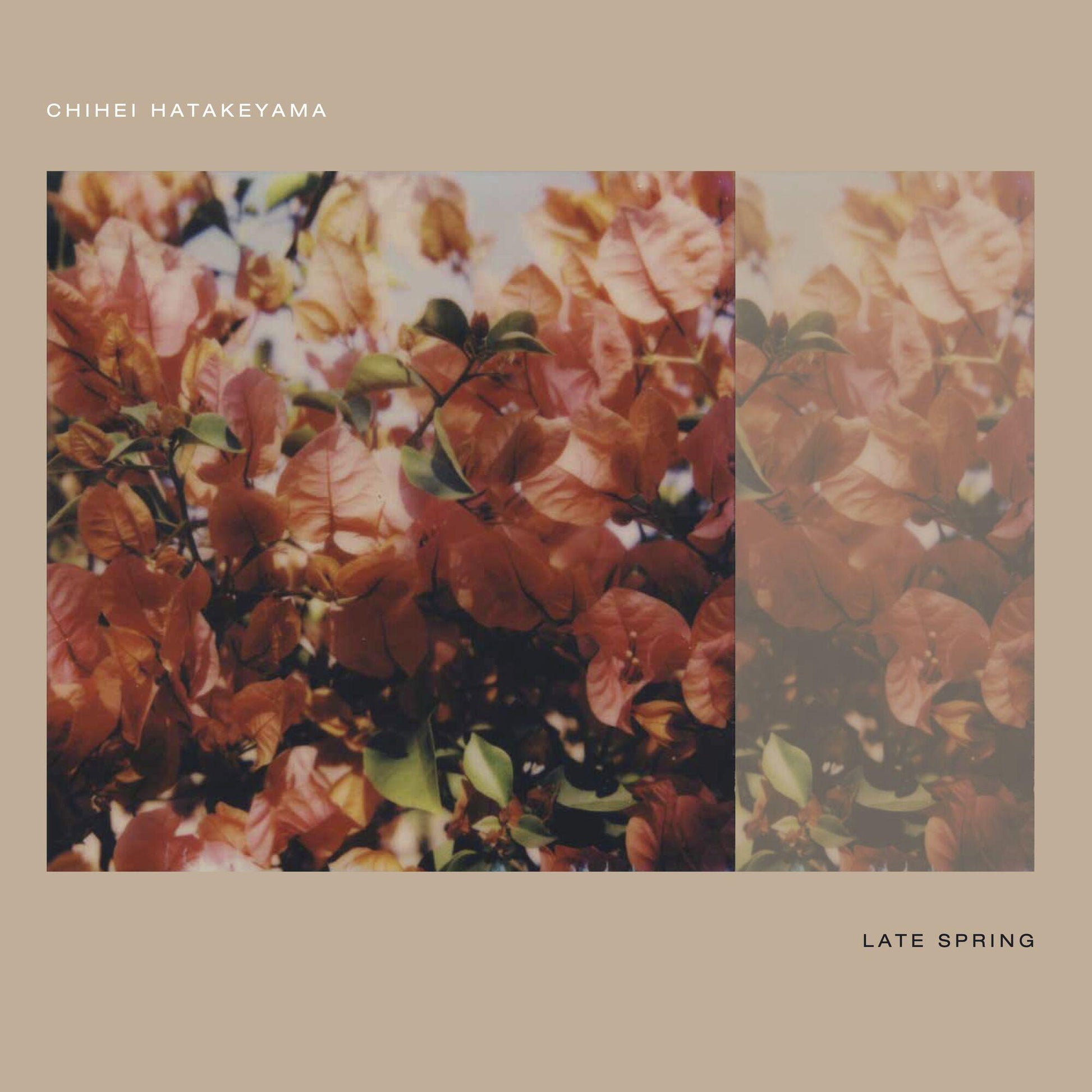 Chihei Hatakeyama - Late Spring - Cd – Vinyl Tap