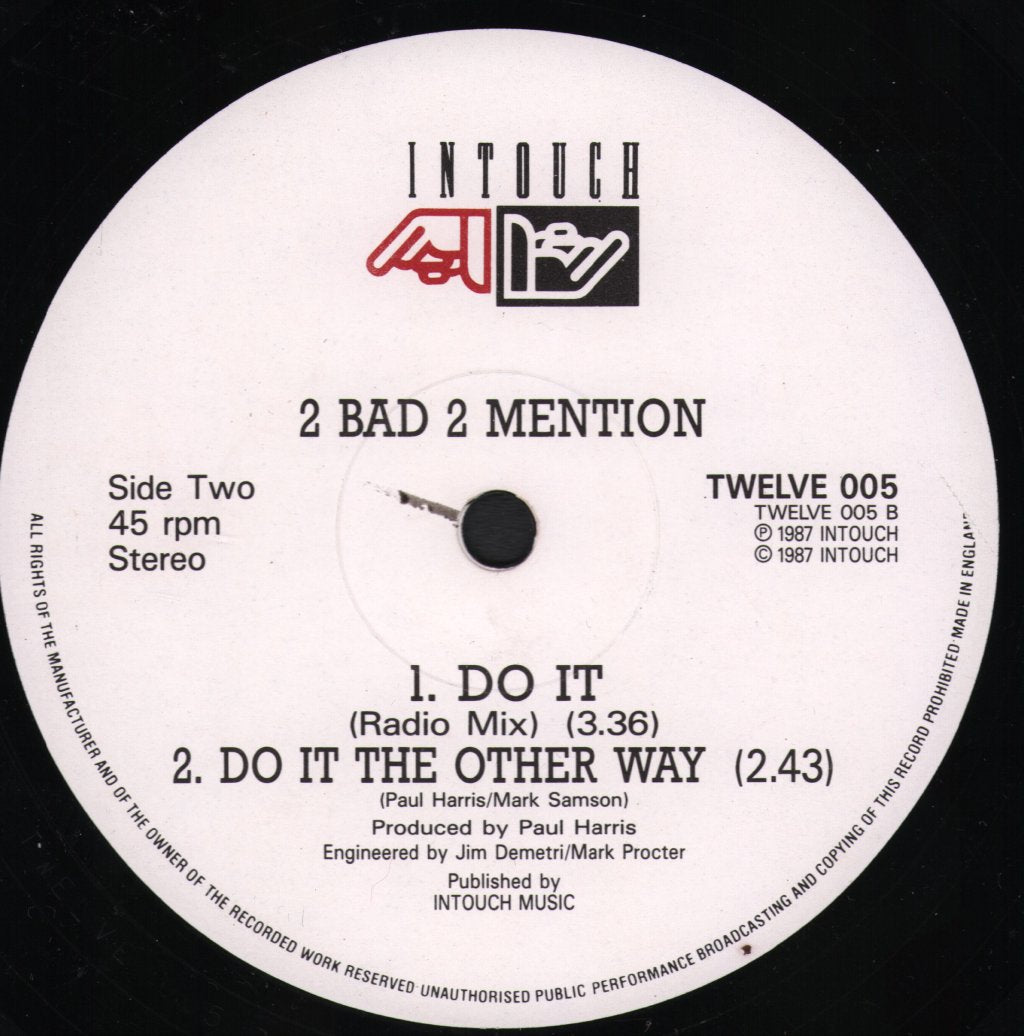 2 Bad 2 Mention - Do It - 12 Inch – Vinyl Tap