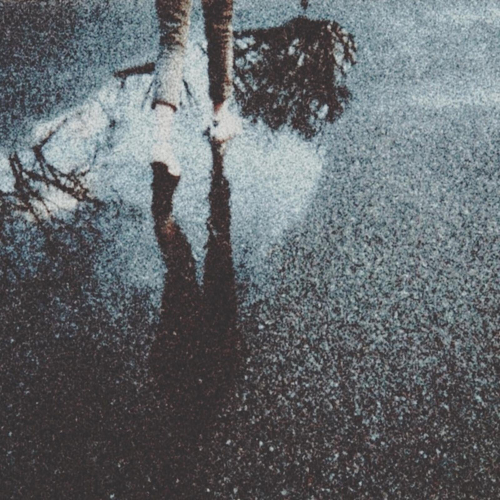 Sadness - April Sunset - Double Lp – Vinyl Tap