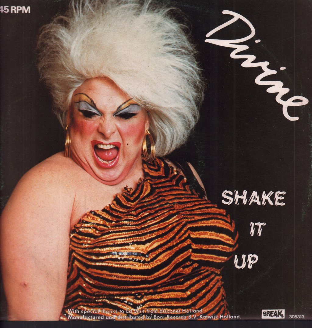 Divine (Disco) - Shake It Up - 12 Inch – Vinyl Tap