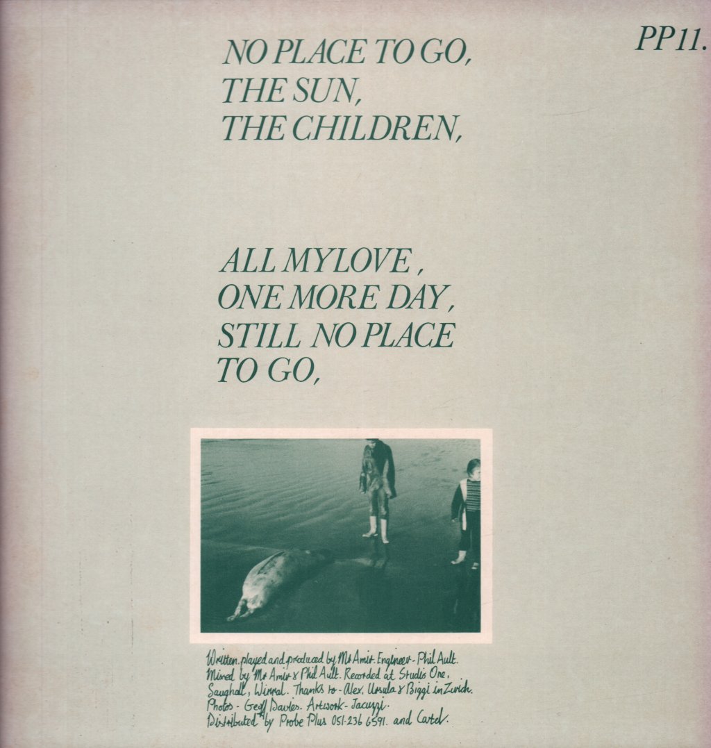 Mr Amir - No Place To Go - 12 Inch – Vinyl Tap