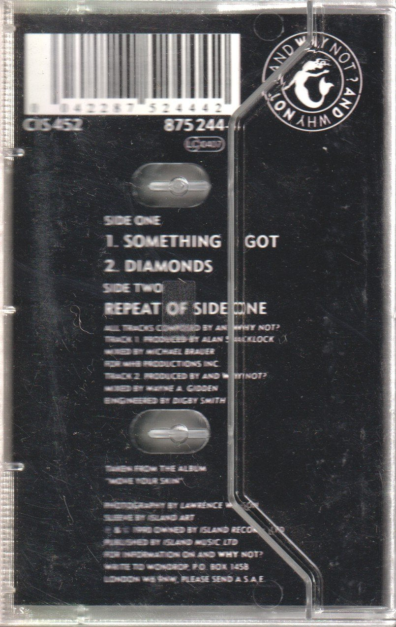 And Why Not - Something U Got - Cassette – Vinyl Tap