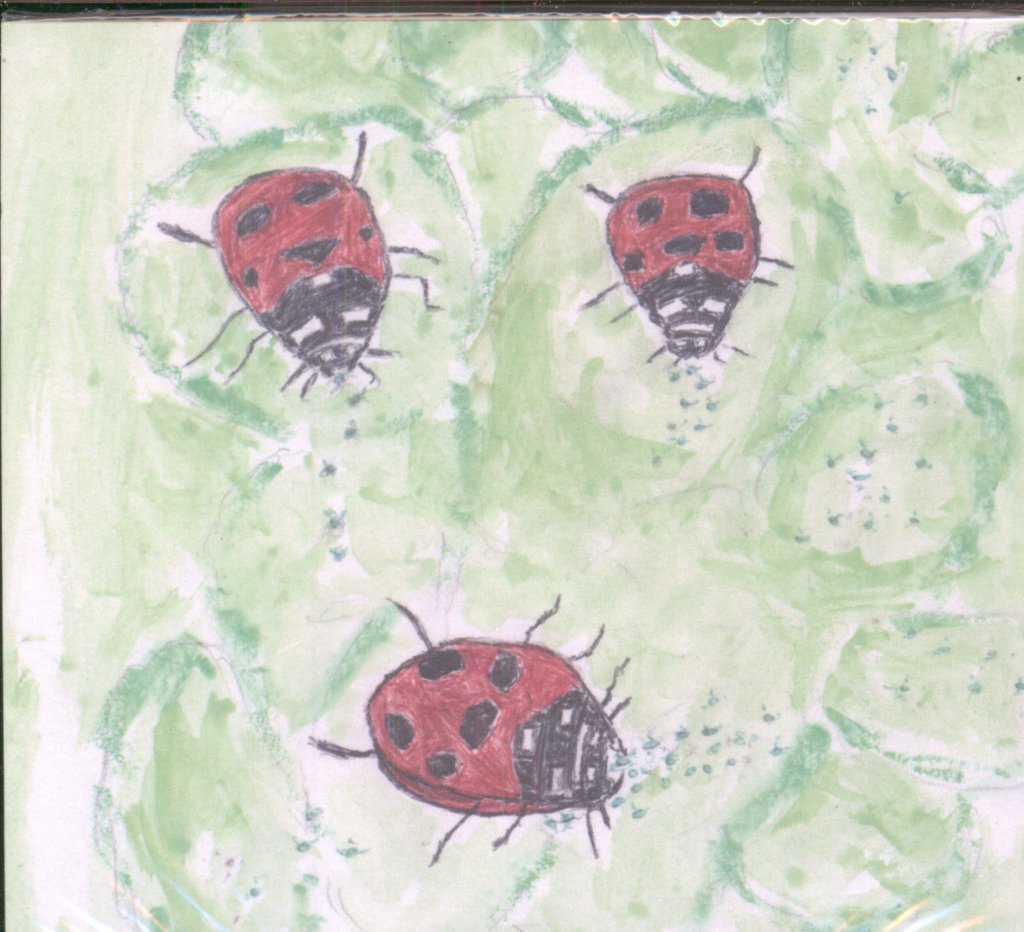 Usurper - Big Two - Cd – Vinyl Tap