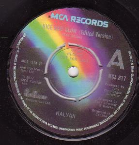 Kalyan - Nice And Slow - 7 Inch – Vinyl Tap