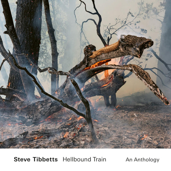 Steve Tibbetts - Hellbound Train (An Anthology) - Double Cd – Vinyl Tap