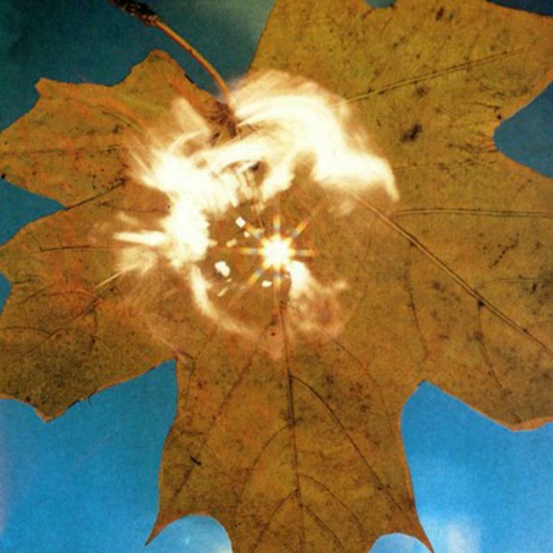 Soyuz - Force of the Wind - Cd – Vinyl Tap