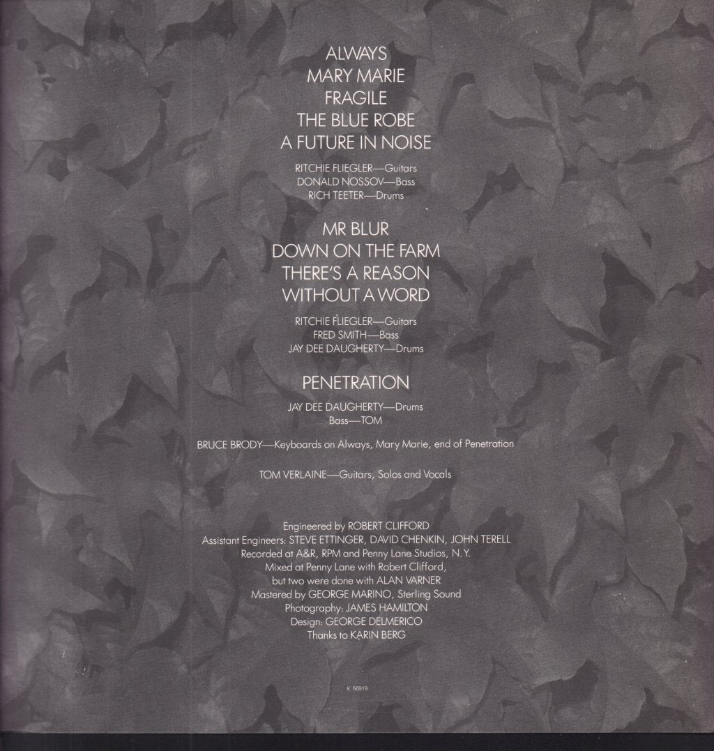 Tom Verlaine - Dreamtime - Lp – Vinyl Tap