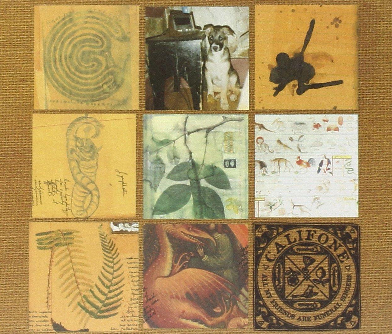 Califone - All My Friends Are Funeral Singers - Cd – Vinyl Tap