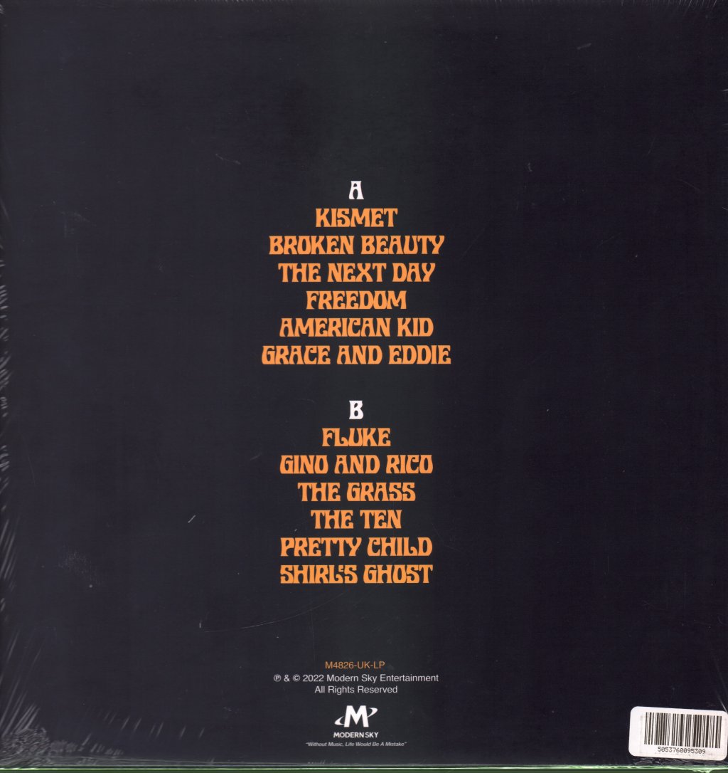 Michael Head And The Red Elastic Band - Dear Scott - Lp – Vinyl Tap