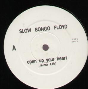 Slow Bongo Floyd - Open Up Your Heart - 12 Inch – Vinyl Tap