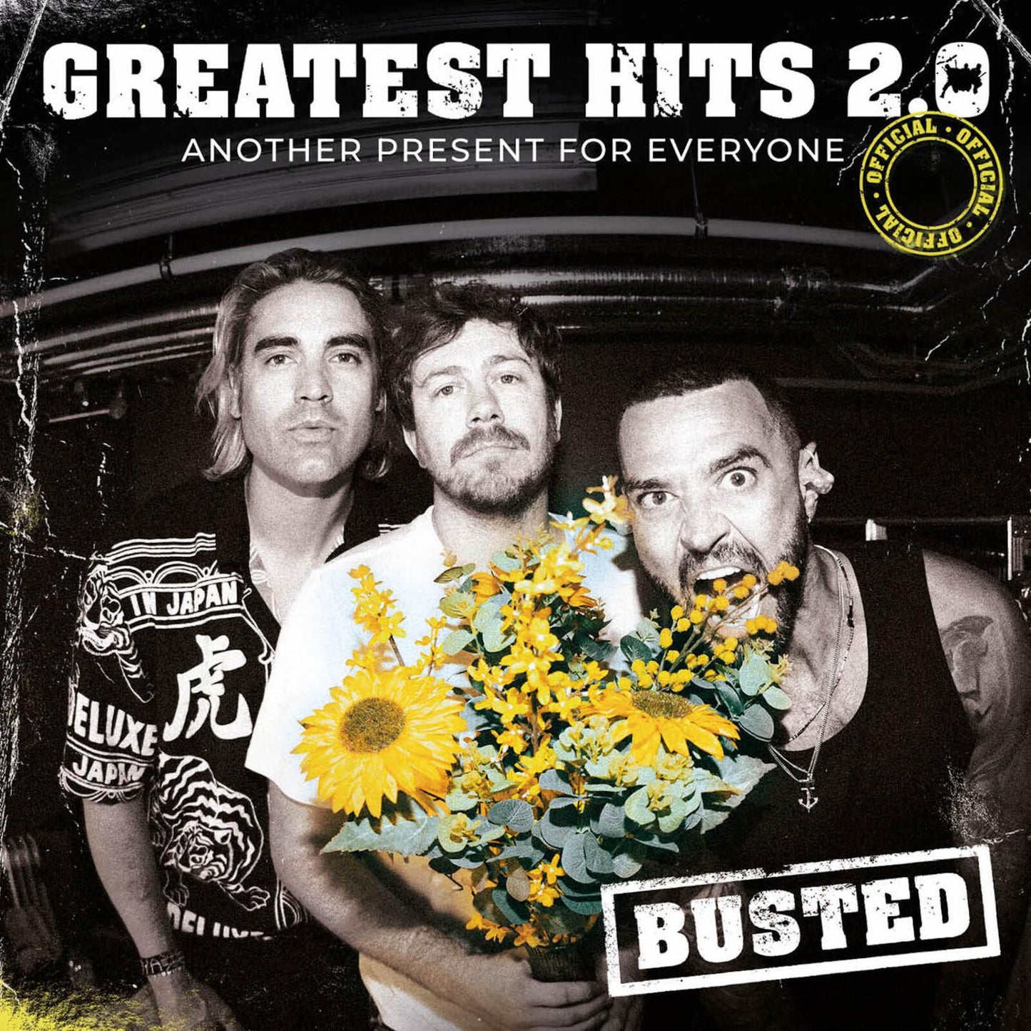 Busted - Greatest Hits 2.0 (Another Present For Everyone) - Cd – Vinyl Tap