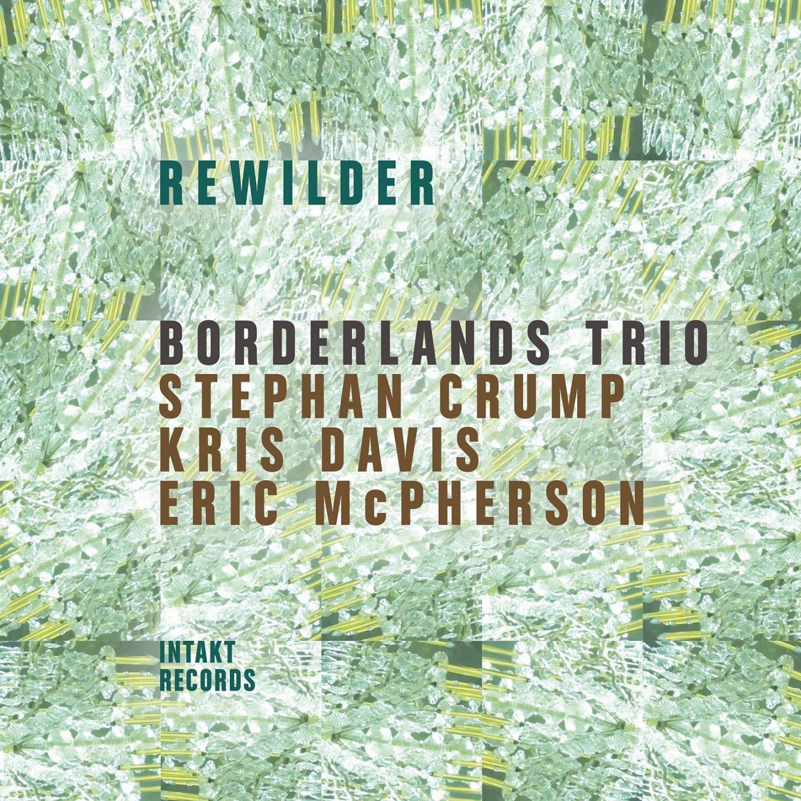Borderlands Trio - Rewilder - Cd – Vinyl Tap